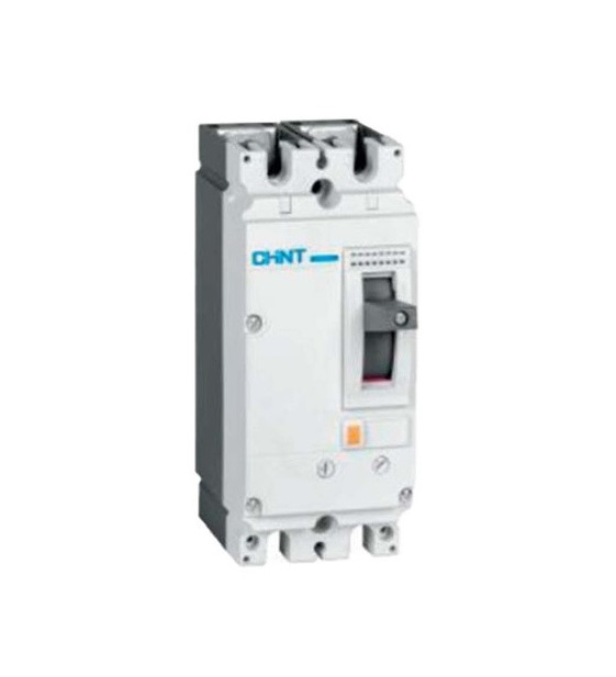 MCCB 2P 100A 36kA Chint - NM8N-125C TM 100 2P